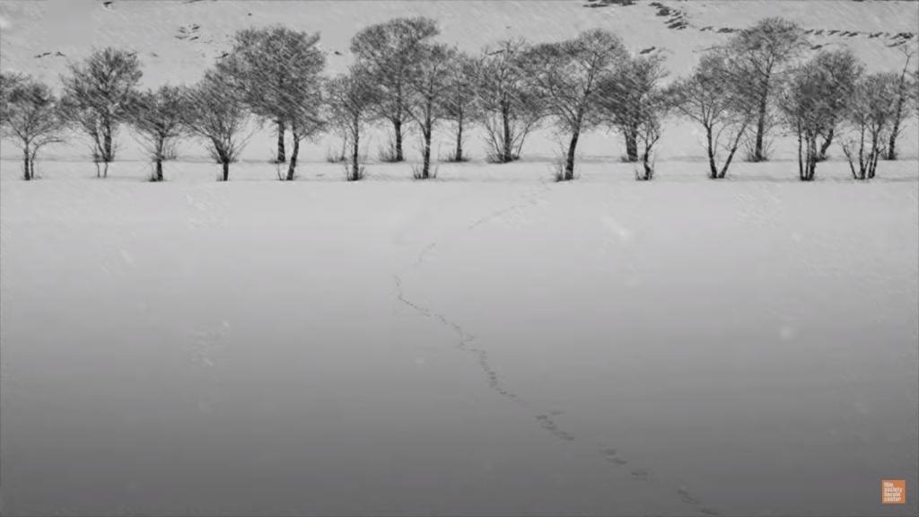 24 FRAMES – F for Films